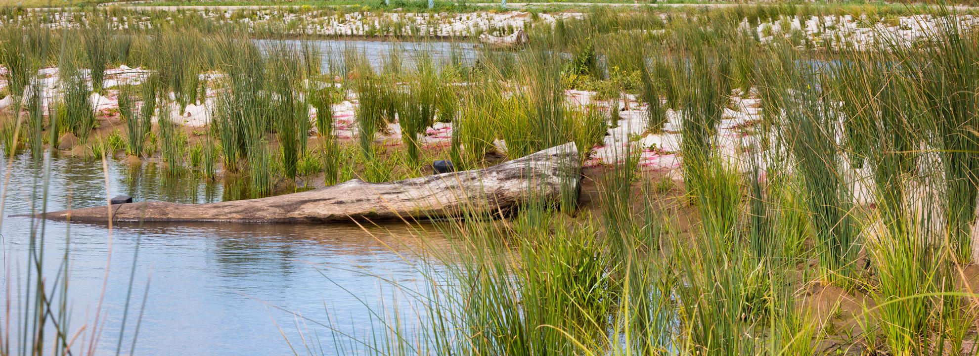 What is integrated water management? | Greater Western Water